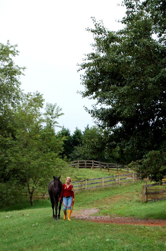 Riding Camp @ Rodes Farm Stables Starts June 22, 2009 - Blue Ridge Life ...