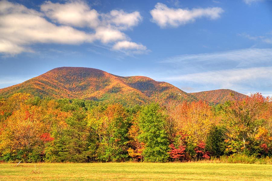 Fall Colors Becoming Brilliant In The Mountains Of Nelson County : 10. ...