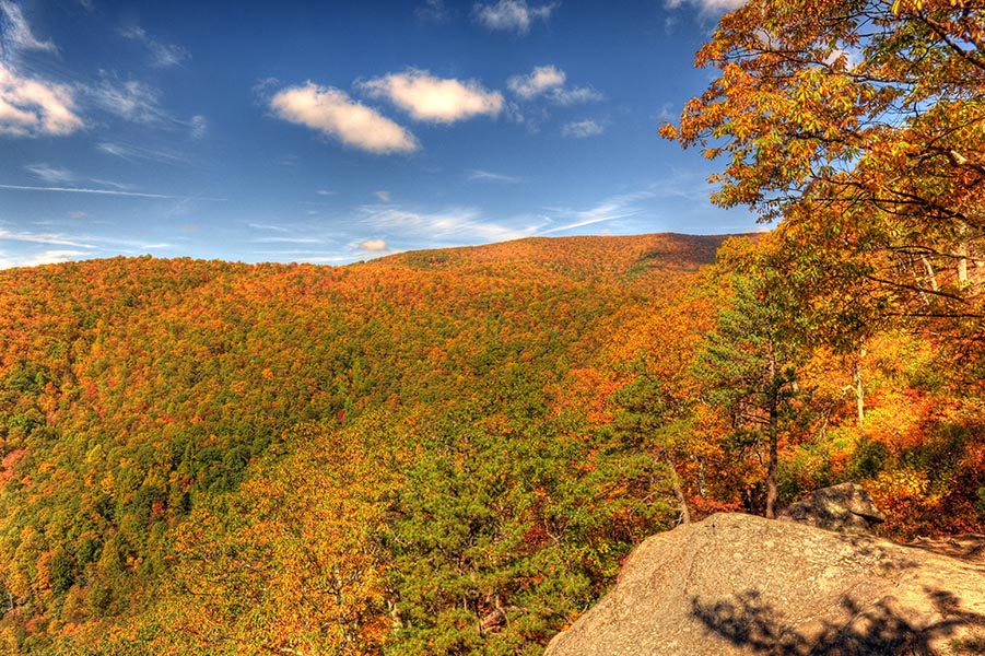 Fall Colors Becoming Brilliant In The Mountains Of Nelson County : 10. ...