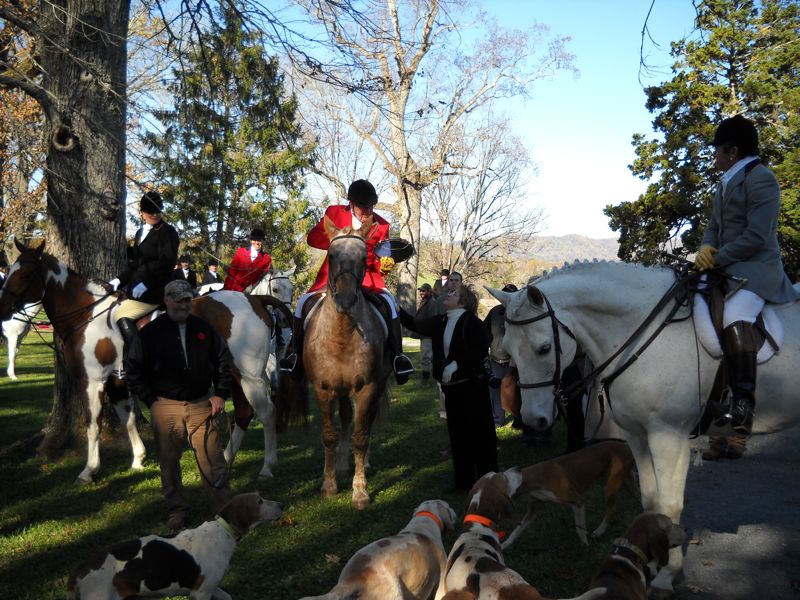Oak Ridge Fox Hunt Club - Opening Hunt 2010 - Blue Ridge Life Magazine