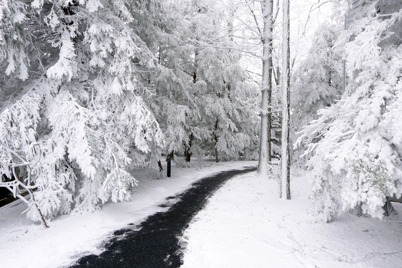 Sunday Snow In The Mountains Of Nelson County, VA - Blue Ridge Life ...