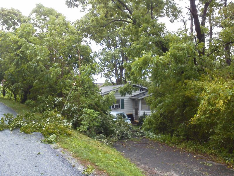 Severe Thunderstorms Cause Moderate Power Line & Tree Damage Across ...