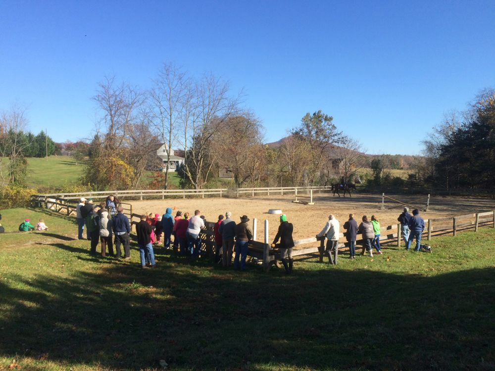 Nelson: Rodes Farm Stables Holds Open House - Blue Ridge Life Magazine