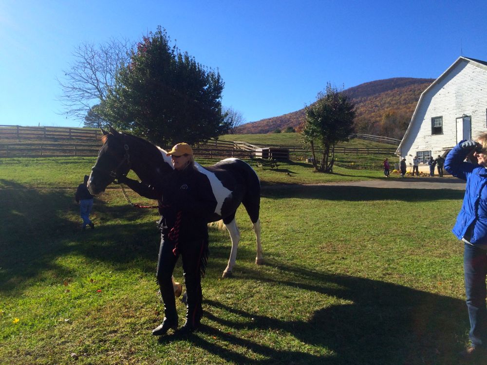 Nelson: Rodes Farm Stables Holds Open House - Blue Ridge Life Magazine