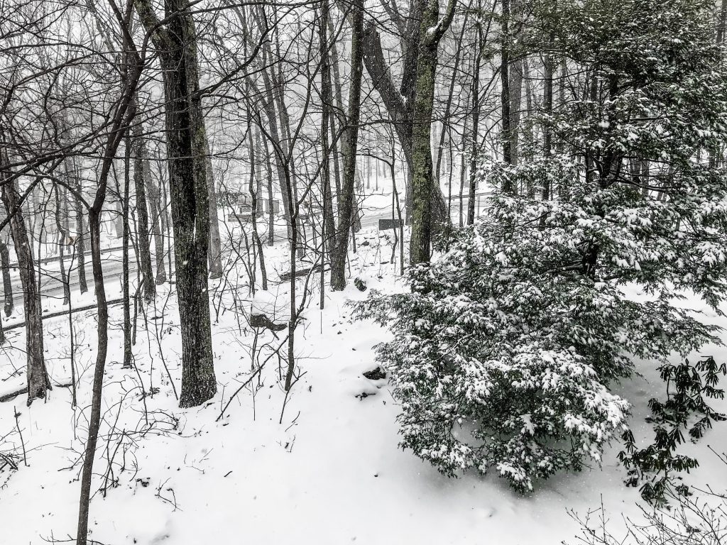 Snow Day Across The Blue Ridge! (Video) - Blue Ridge Life Magazine