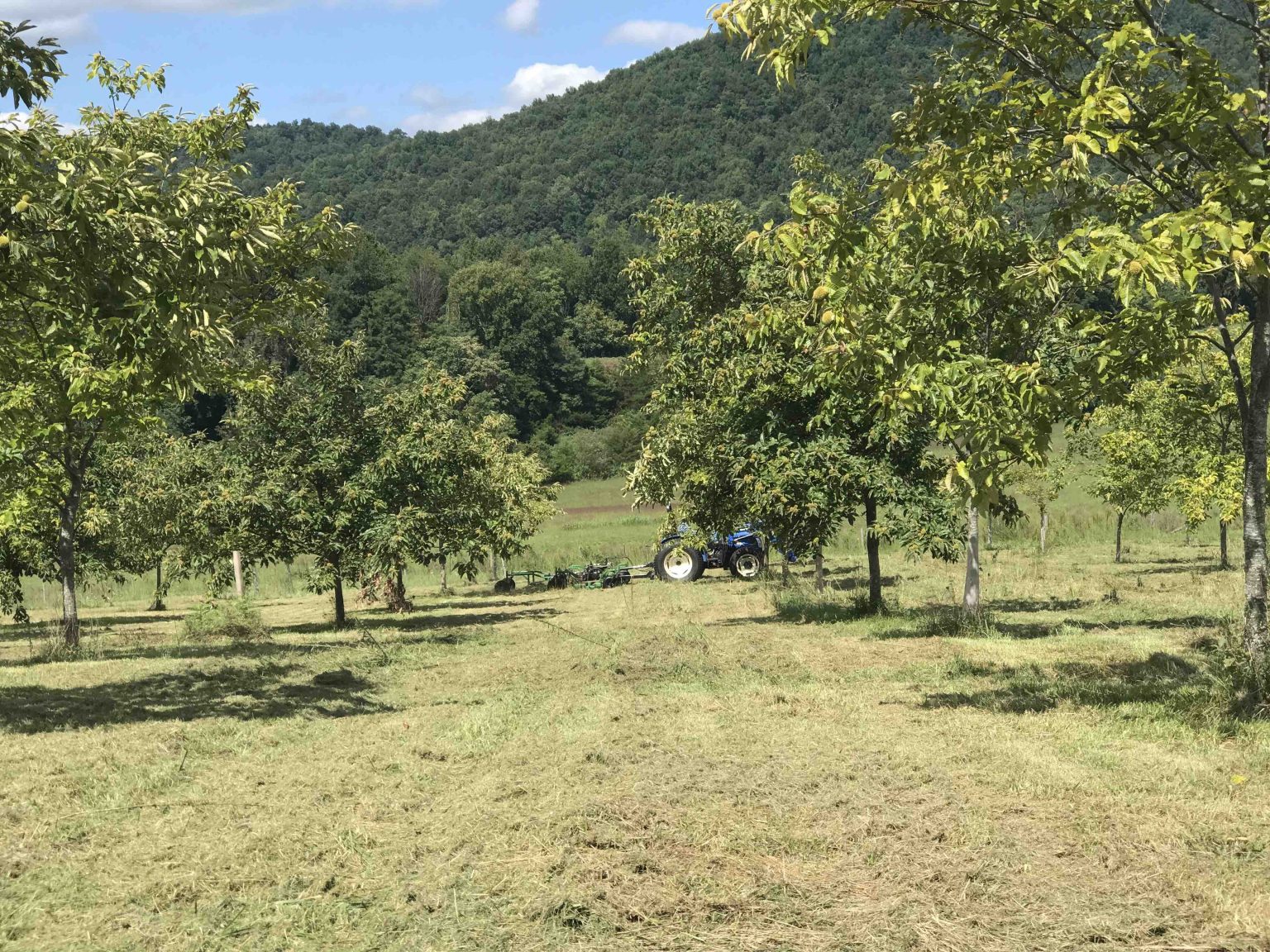 Nelson : Bryant-Roseland : Tinkerland Farm In Full Swing Selling ...