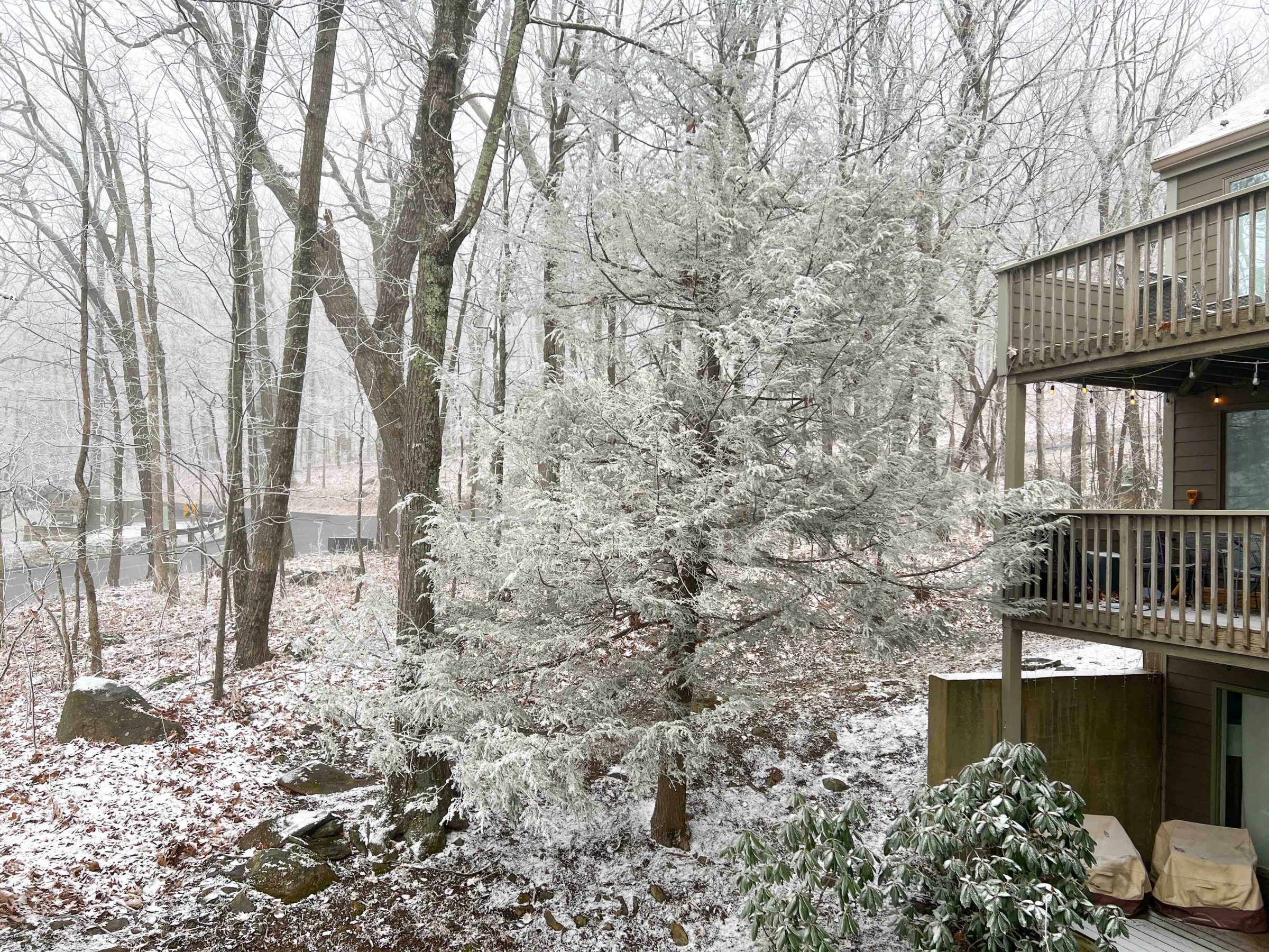 Light Dusting Of Snow Hits Wintergreen Overnight - Blue Ridge Life Magazine