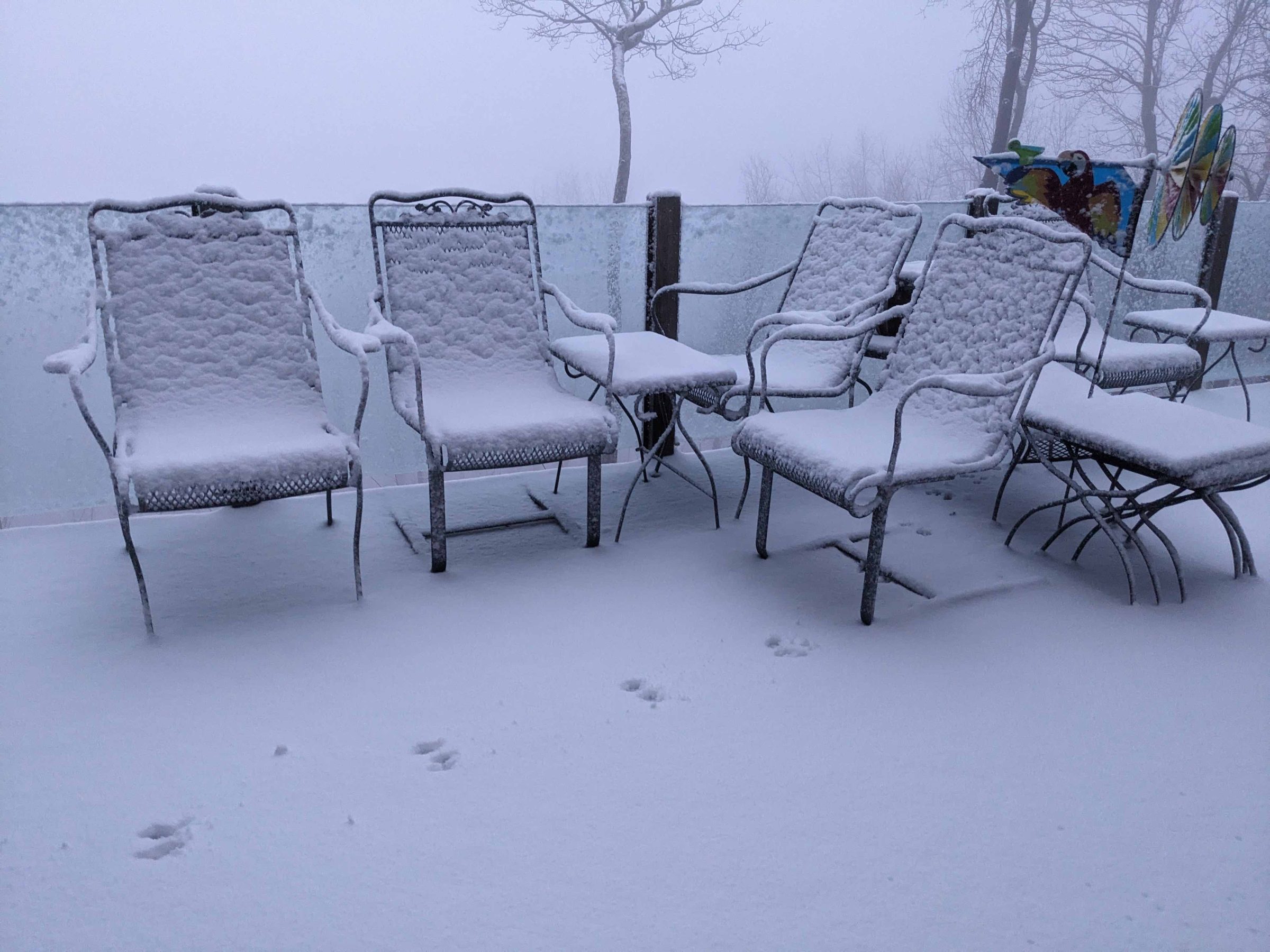 Snow Falls In Higher Elevations Across The Blue Ridge - Blue Ridge Life ...